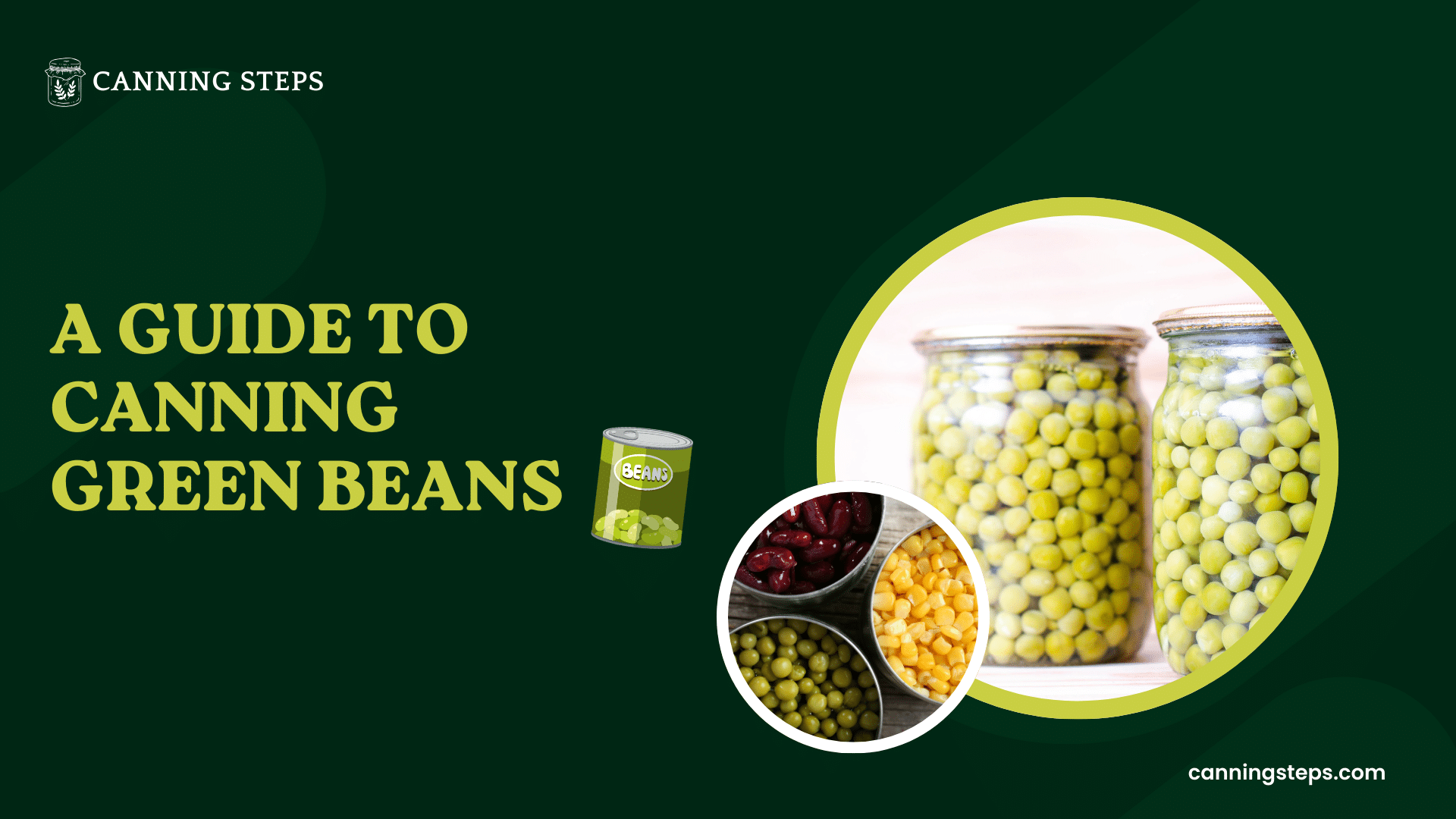 A Step-by-Step Guide to Canning Beans