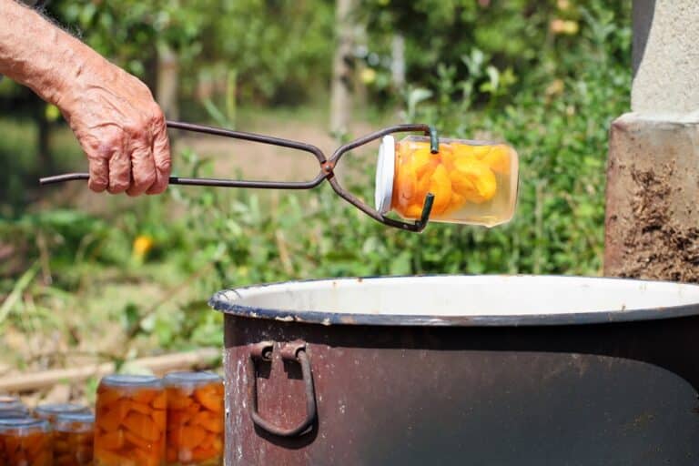 A Complete Guide to Canning Vegetables
